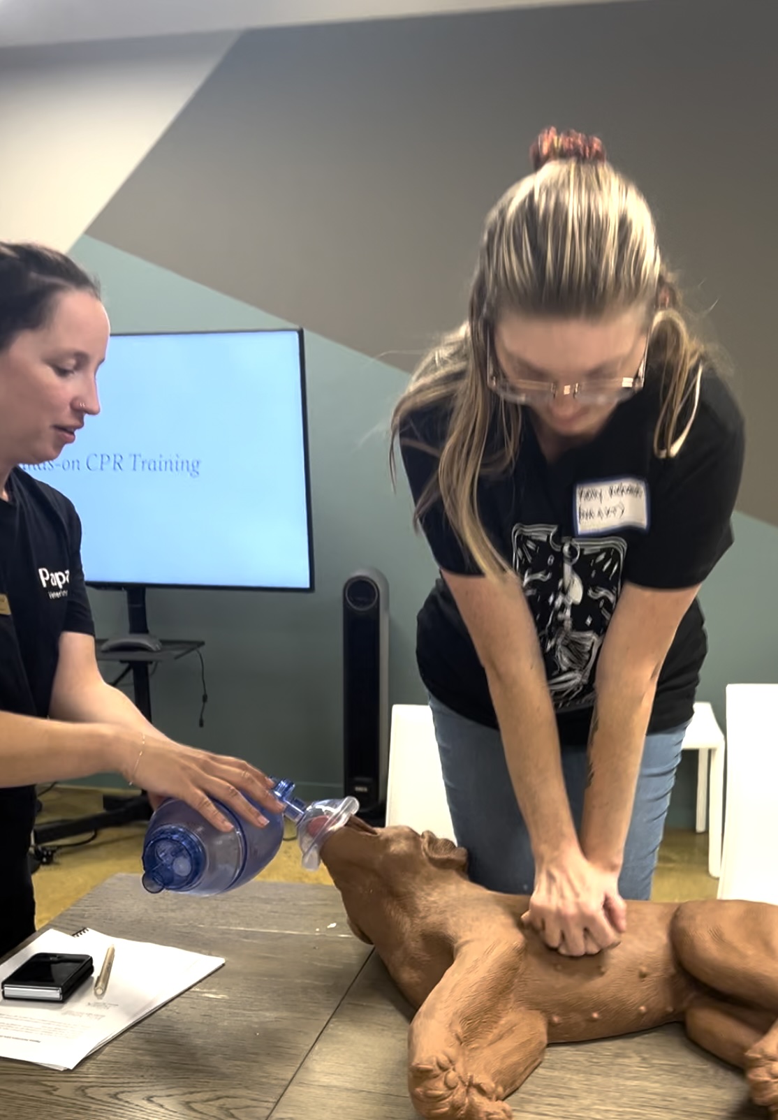 Double Tap - RACE CPR and Triage Training | Papaya Vet Care