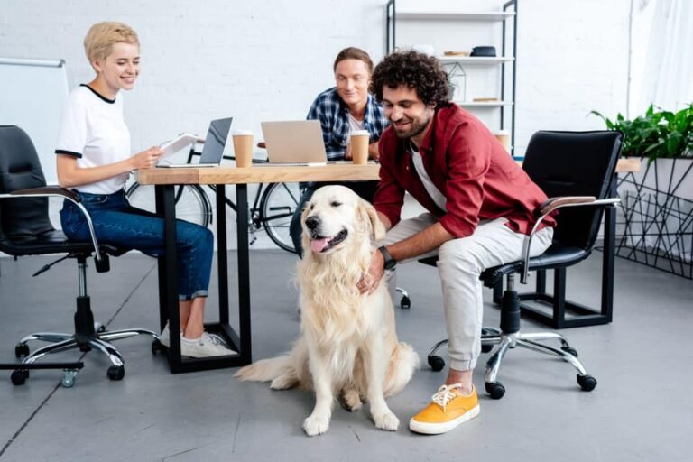 Pet-Friendly Workplace Tips: Managing Pets in the Office | Papaya Vet